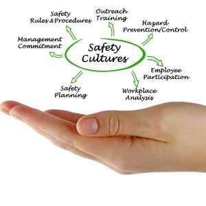 Assessing and Changing Safety Culture in Organizations